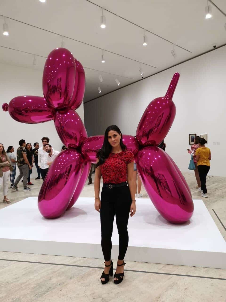 La Voz De Daniela Bolaños - COVIVE